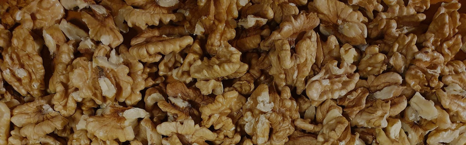 Projekt Walnuss-Sorten für Höhenlagen - Walnuss Veredlung Walker